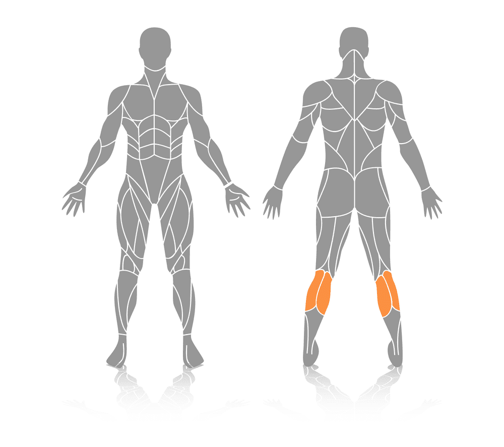 Kuit Oefeningen - De Beste Oefeningen voor Gespierde Kuiten!