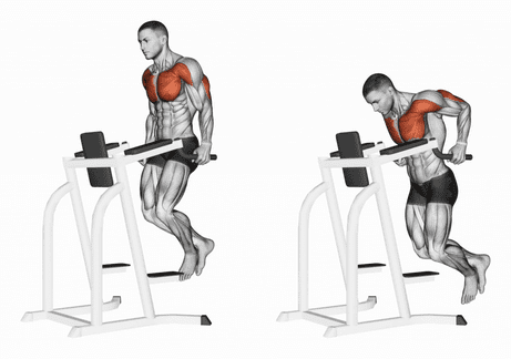 Dips - Uitvoering en Tips voor Chest - & Tricep Dips | InfoFitness.nl