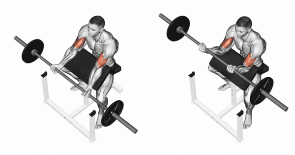 Preacher Curl voor Grote Biceps - Uitvoering & Tips | InfoFitness.nl
