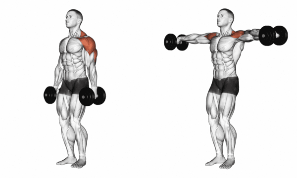 Lateral Raises (Dumbbell) voor de Side Delts - Techniek & Uitvoering