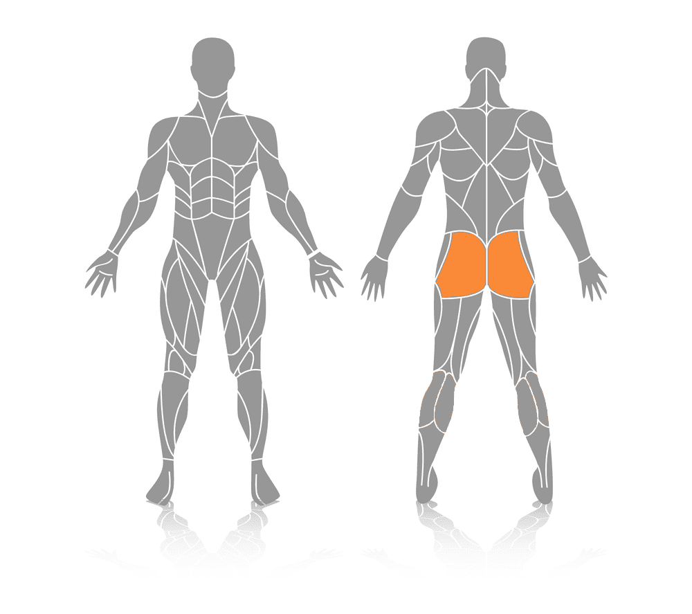 Bilspieren / Glutes Oefeningen - Beste Oefening voor de Billen!