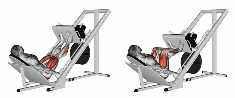 Leg Press - Uitvoering, Tips & Veelgemaakte Fouten | InfoFitness.nl