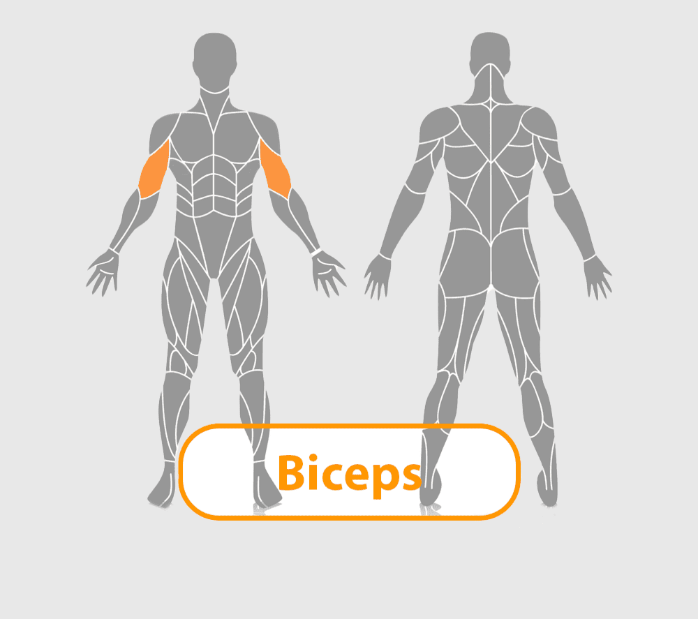 Fitness Oefeningen - Alle Oefeningen met Duidelijke Uitleg ...