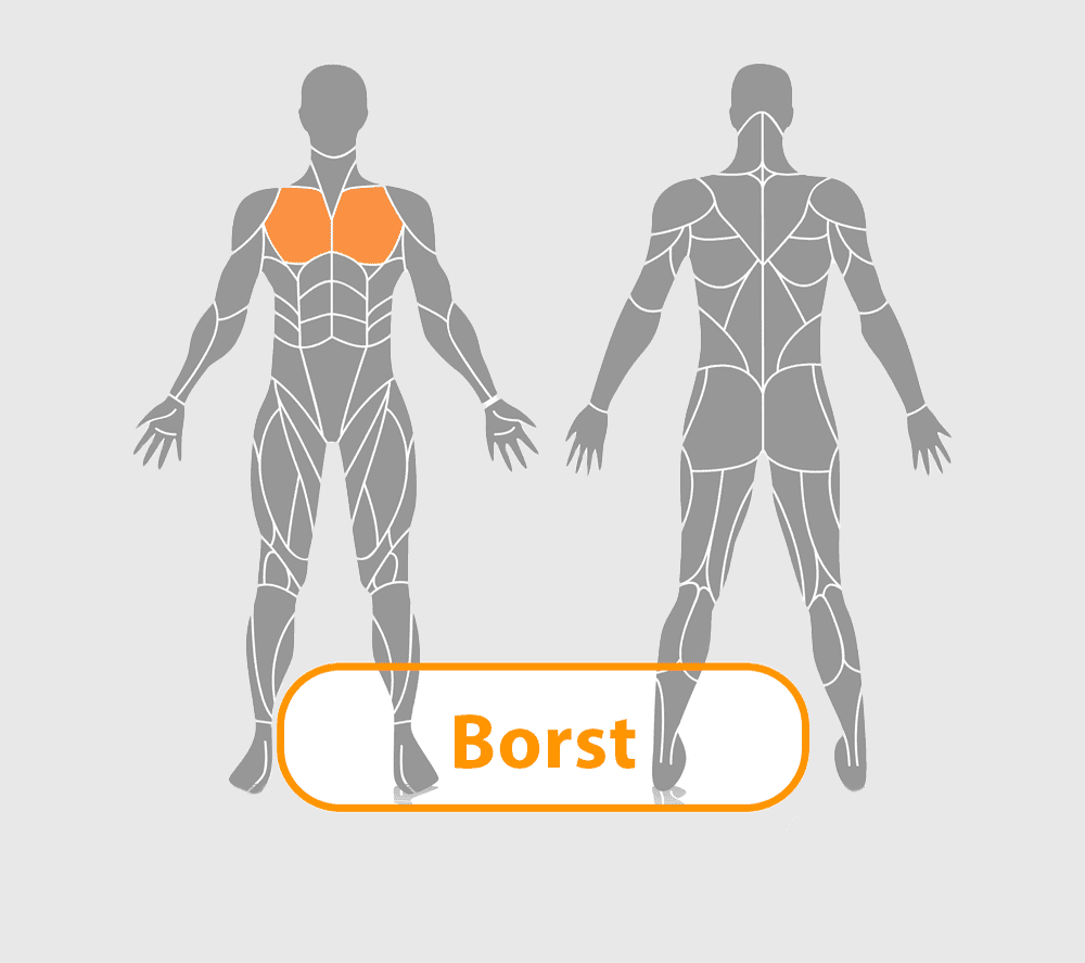 Fitness Oefeningen - Alle Oefeningen met Duidelijke Uitleg ...