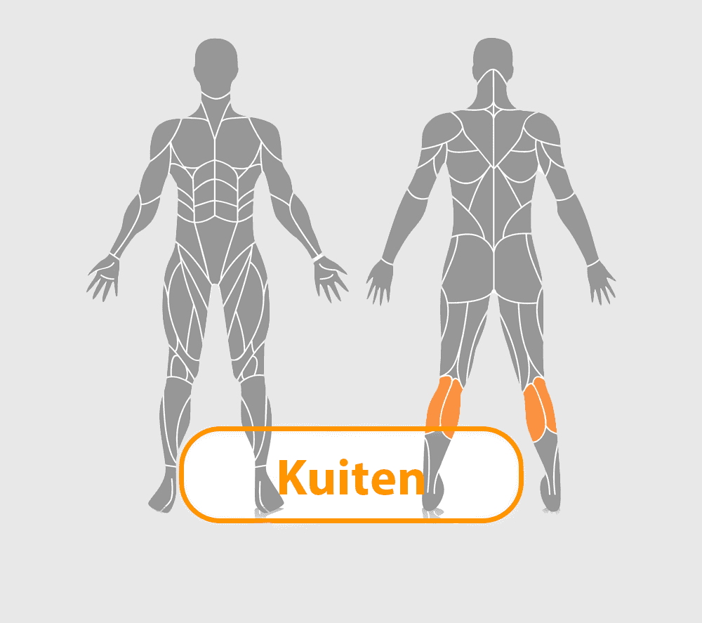 Fitness Oefeningen - Alle Oefeningen met Duidelijke Uitleg ...